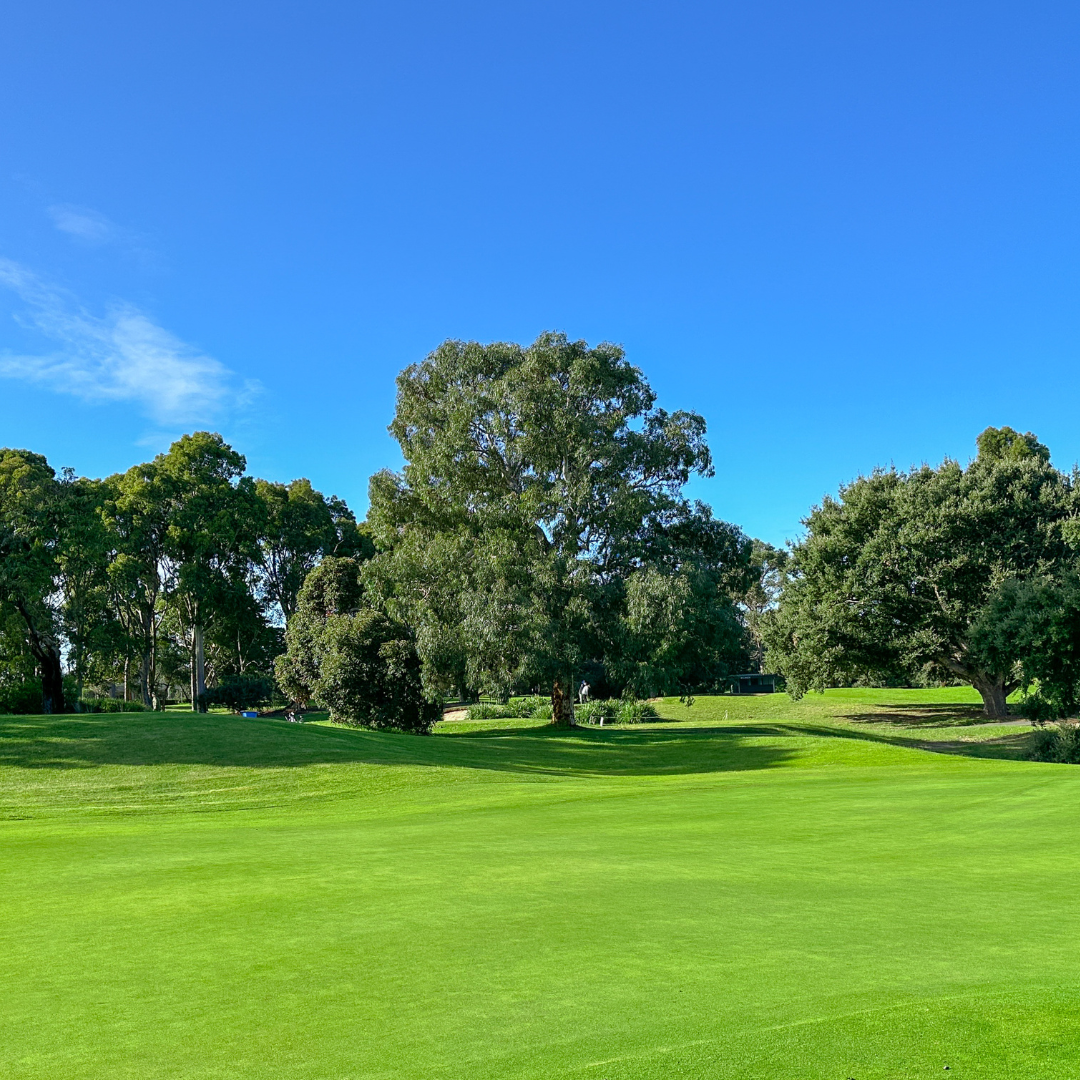 GOLF COURSE - Brighton Golf Course